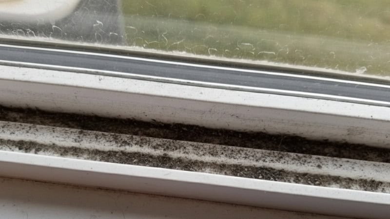 How to Clean Window Sills Like a Pro: Step-by-Step Guide